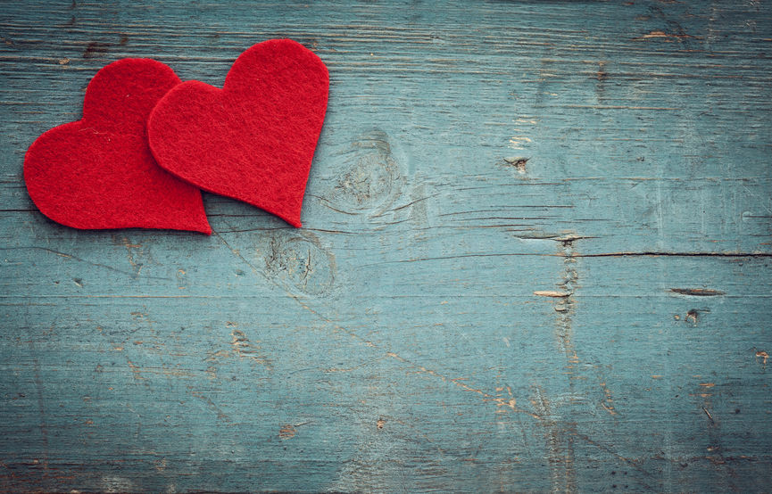 Heart Health Month – February – A look at the human heart. – All About ...